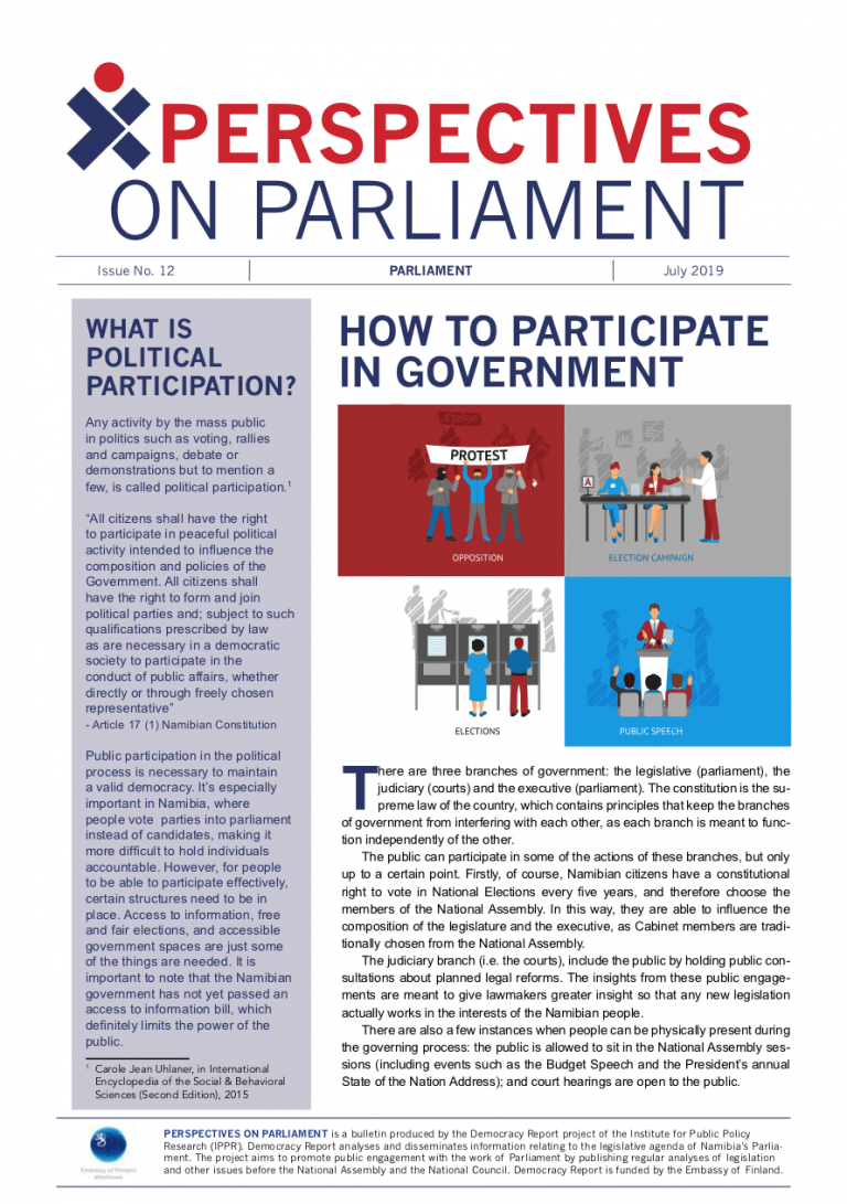How to Participate in Government - IPPR